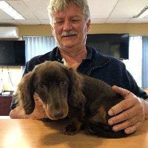 Australia's Biggest Morning Tea - Brooke Perrett