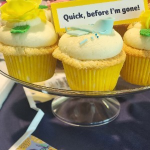 Australia's Biggest Morning Tea - Rob Stafford