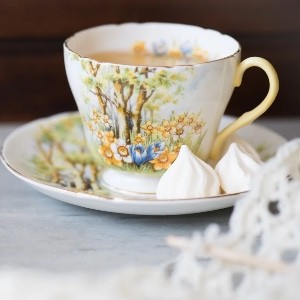 Australia's Biggest Morning Tea - Lynda Rennick