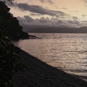 Australia's Biggest Morning Tea - Renee Hecker